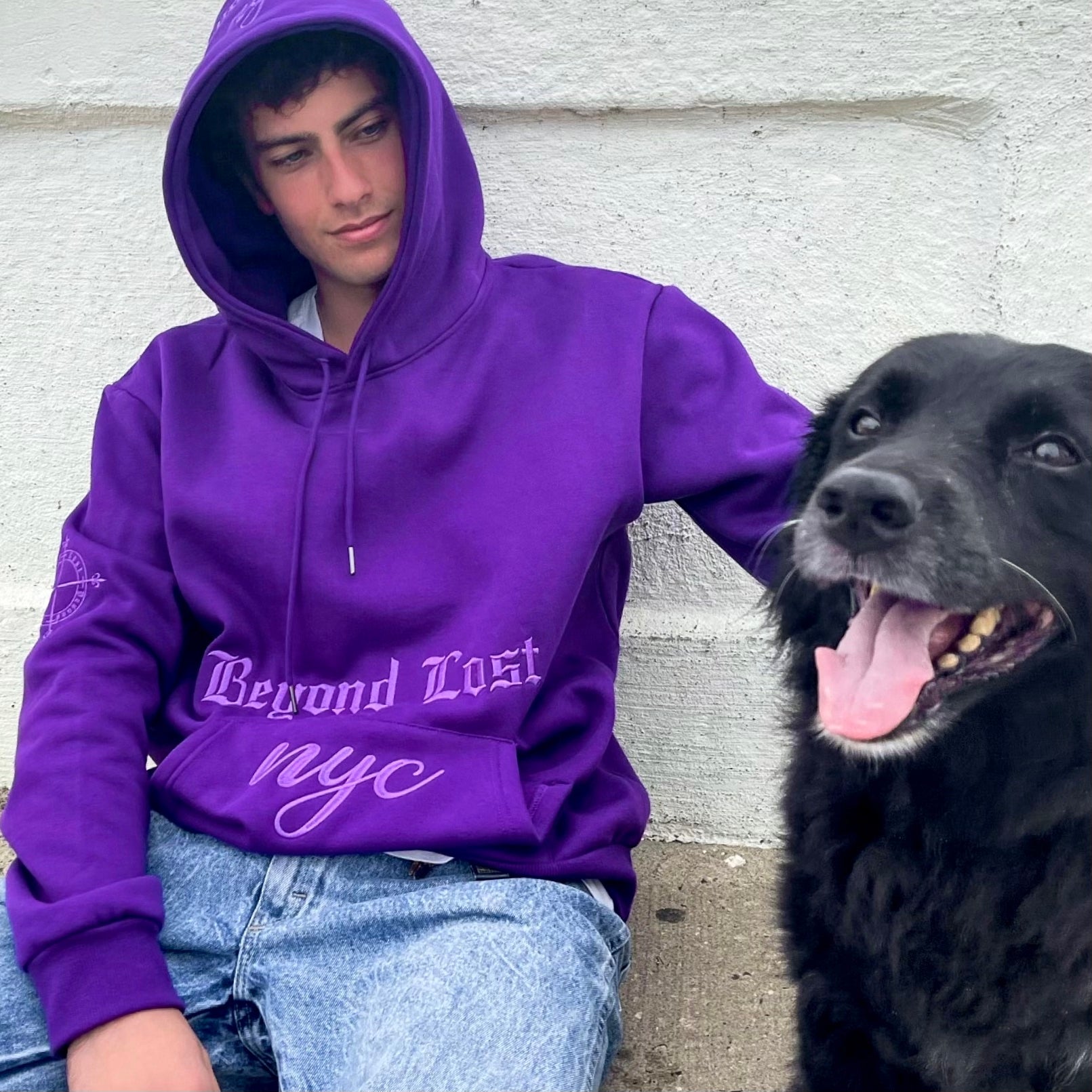 Ultra Violet Oversized Pullover Hoodie: Violet Metallic Embroidery ...